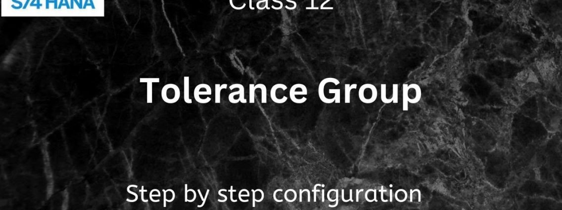 How to Create Tolerance Group in SAP S/4HANA FI - SAP ERP Tutorial Videos