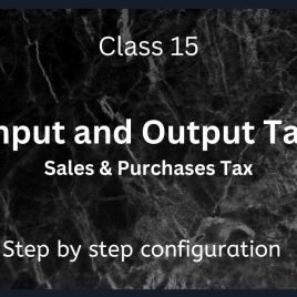 Parallel Accounting, Ledger & Account Based Approach in SAP S4H FI ...