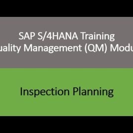 Video 06 - SAP S4H QM: Master Data : Master Inspection Characteristics ...