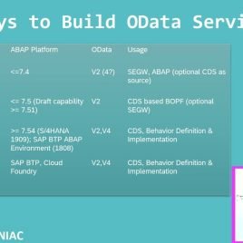 Exploring MPC DPC Classes and Read Operation in OData in SAP - Part 6 ...
