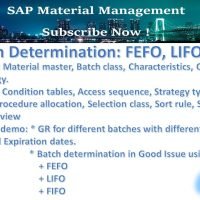 SAP MM Inter-Company Return STO Process - SAP ERP Tutorial Videos