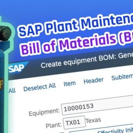 SAP PM/EAM Tutorial: Measuring Points (Condition Based Maintenance ...