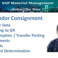 SAP MM Inter-Company Return STO Process - SAP ERP Tutorial Videos
