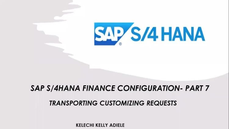 Maintain COPA Characteristics in S4HANA - COPA Tutorial Series Video 5 ...