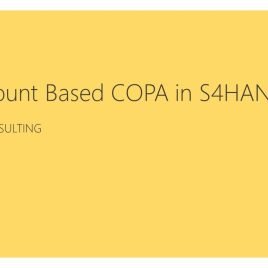 Base Configuration for COPA in S4HANA - COPA Tutorial Series Video 4 ...